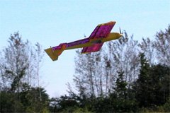 Electric Powered 3D Aerobatics